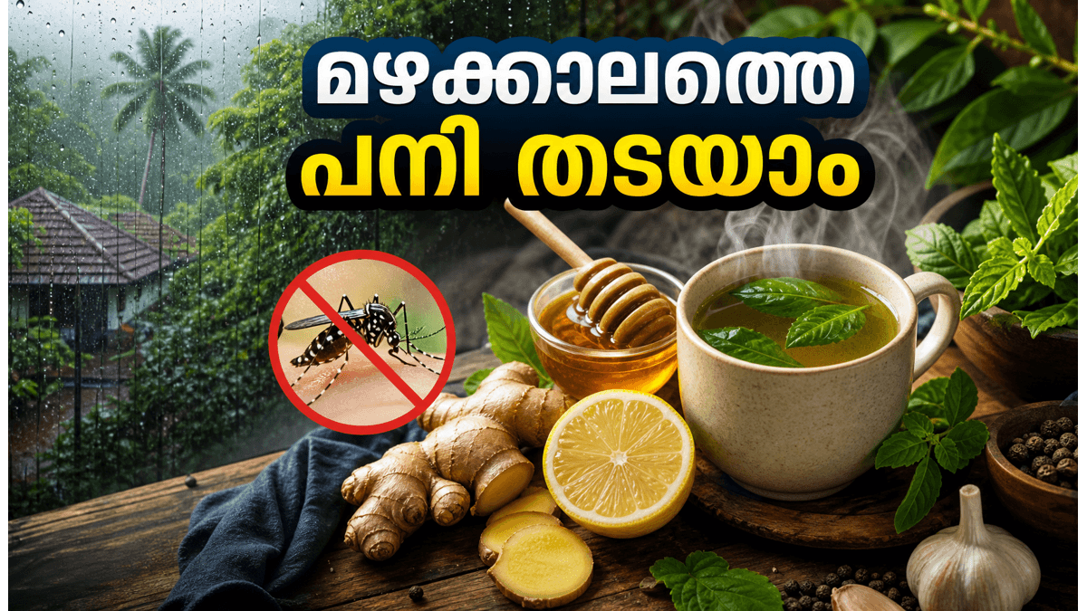 മഴക്കാലത്തെ പനിയും അസുഖങ്ങളും: വീട്ടിൽ തന്നെ പരീക്ഷിക്കാവുന്ന ലളിതമായ ...