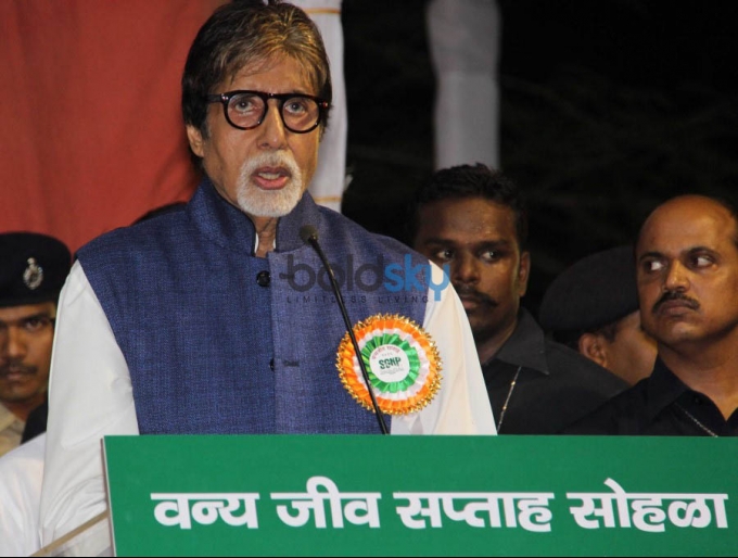 Amitabh Bachchan Appointed As Maharashtra's Tiger Ambassador - Boldsky