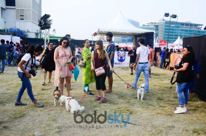India's Biggest Pet Festival - Boldsky