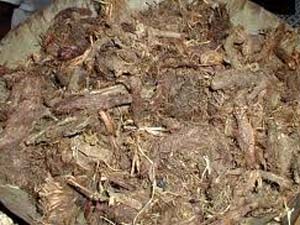 ரத்த அழுத்தம் போக்கும் சடமாஞ்சி | Health benefits of Indian Nard | ரத்த ...