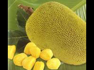 பலாப்பழம் சாப்பிடுங்க!!! உடல் ஆரோக்கியமா இருக்கும்... | health benefits ...