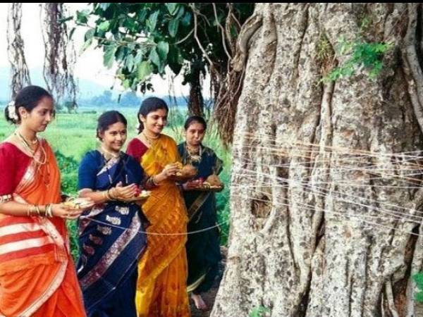 குழந்தை வரம் வேண்டுவோர் அரச மரம், வேப்ப மரத்தை ஏன் சுற்ற வேண்டும் ...
