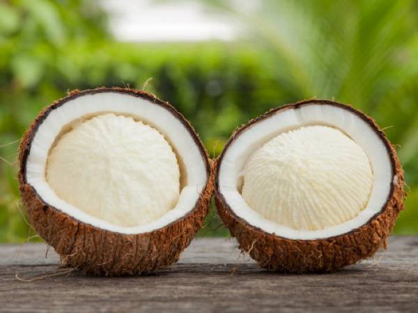 இதுவரை தேங்காய் பூ பாத்திருக்கீங்களா? இத சாப்பிடுவதால் பெறும் நன்மைகள் குறித்து தெரியுமா ...