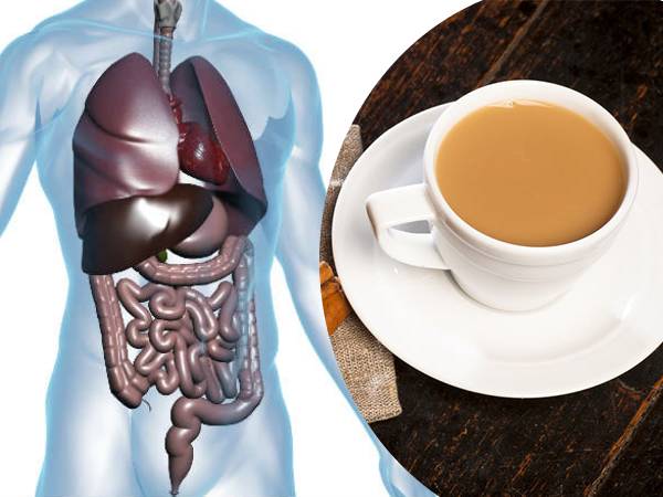 காலையில் எழுந்ததும் வெறும் வயிற்றில் டீ குடிப்பீங்களா? உங்களுக்கு பெரிய ...