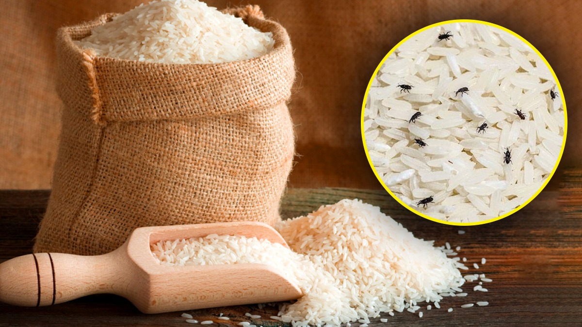 வீட்டுல இருக்க அரிசியில் பூச்சியும் வண்டும் மேய்தா? அப்ப இந்த பொருட்களை ...