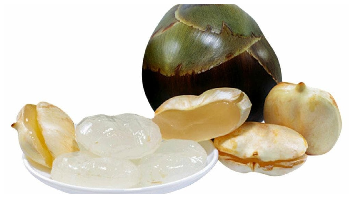 பனை நுங்கு சாப்பிடுவதால் கிடைக்கும் நன்மைகளை தெரிஞ்சுக்கோங்க! | know ...