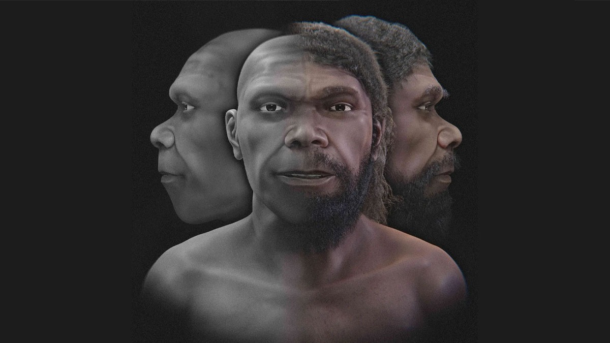 3 லட்சம் வருடத்திற்கு முன் வாழ்ந்த மனிதரின் முகத்தை உருவாக்கியாச்சு ...