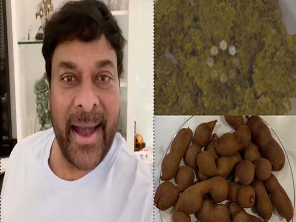 Chiranjeevi Cooks Fish Curry for his mother : మెగాస్టార్ చేసిన ‘చింత ...