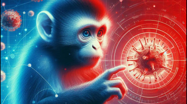 మంకీవైరస్ వచ్చేస్తోంది.. లక్షణాలు, జాగ్రత్తలు ఇవే.. | Monkey virus ...