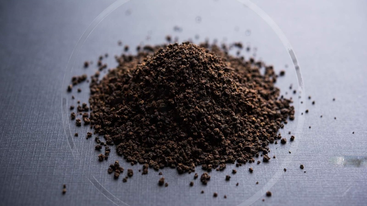 వాడి పడేసిన టీ పొడితో ఇన్ని లాభాలా? తెలిస్తే ఇంకోసారి పడేయరు! | Wow ...