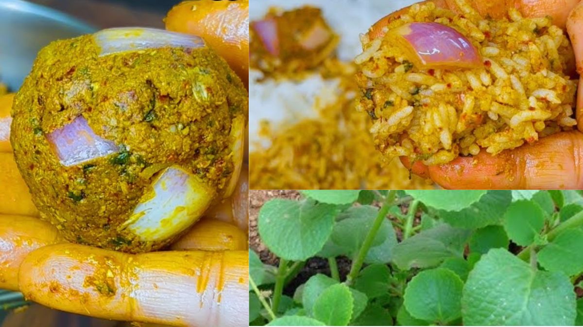 Vamaku pachadi: చలికాలంలో దగ్గు,జలుబు రాకుండా ఉండాలంటే ఈ పచ్చడి ...