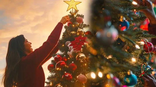Christms 2024: Christmas Tree Ka Pauda Kaise Lagaye, Kis Disha Me ...