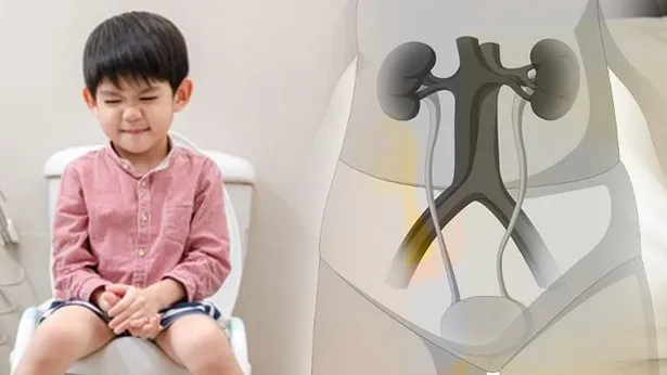 Child Not Urinating: बच्चे को पेशाब न आना,कारण और घरेलू उपचार | Reason ...