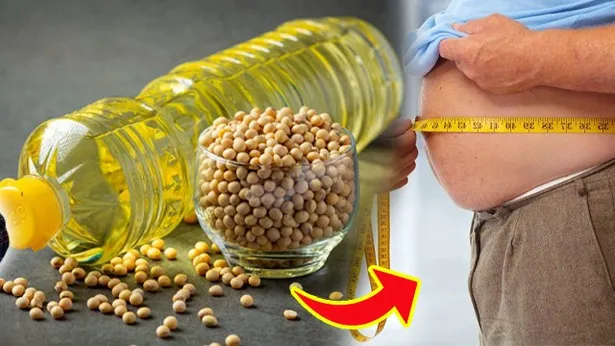 Soybean Side Effects : Soybean Ke Tel Se Motapa Badhta Hai Kya | Side ...